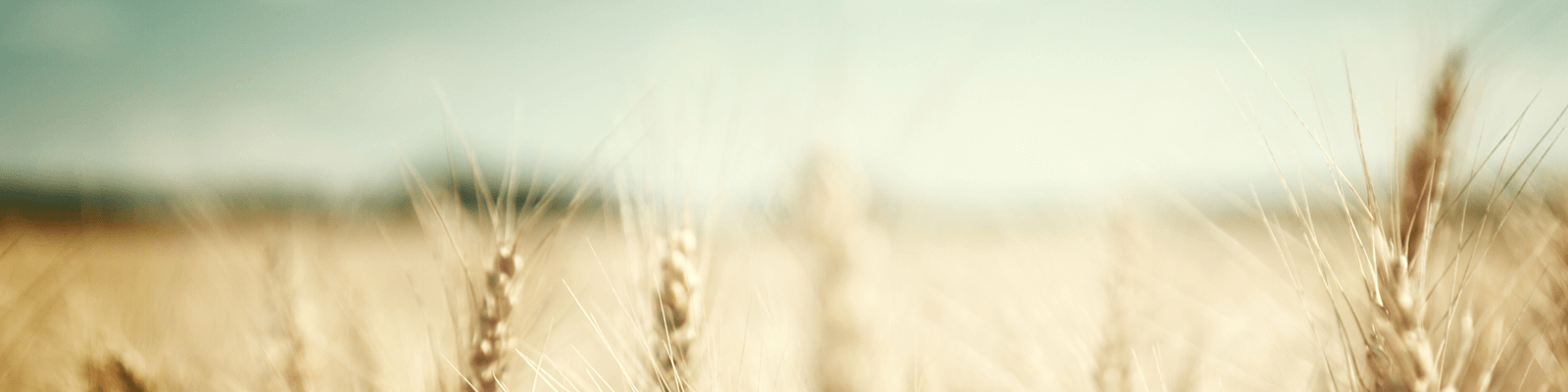 Murmuring Moments – Hoover Church of Christ